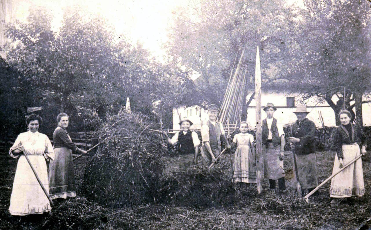 Kleehüfln aufschlagen beim Asenbaum in Amberg